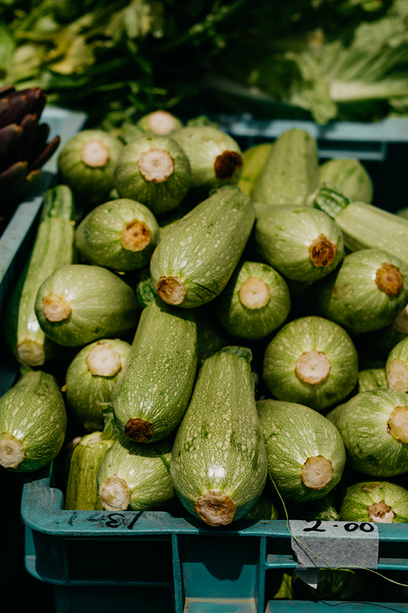 Products – 7 Seeds