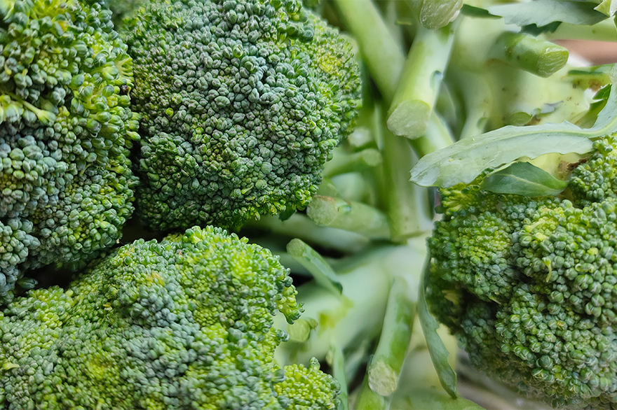 Products – 7 Seeds